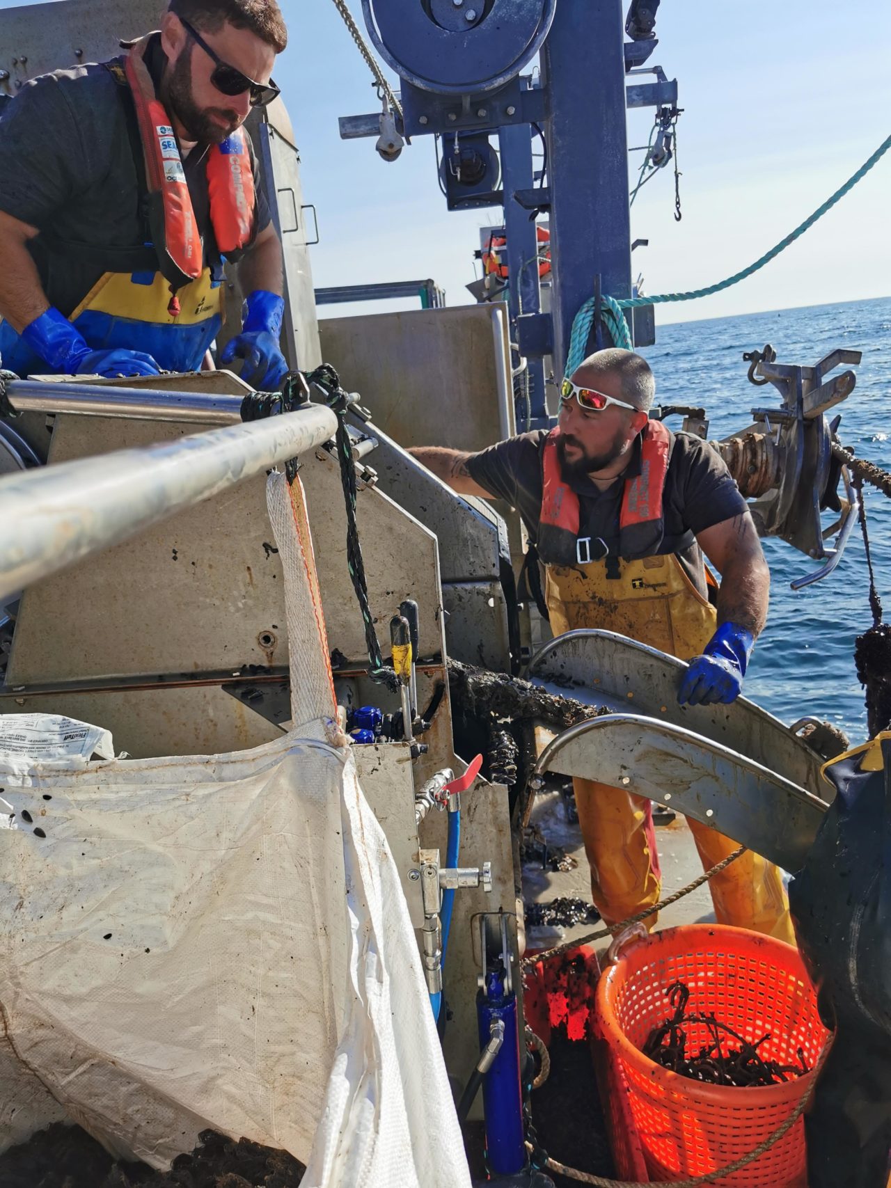 Gallery - Offshore Shellfish